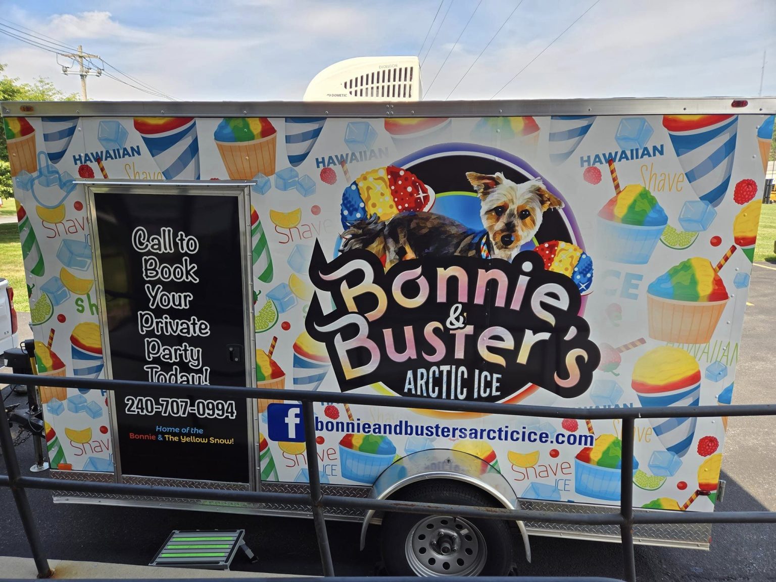 Introducing Bonnie & Buster’s Arctic Ice – Bonnie and Buster's Arctic Ice